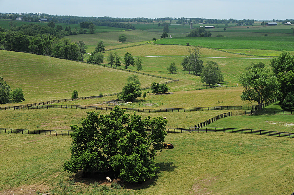 Land Auction Event of the Year! 5,529 Acres in 54 Tracts - Tillable ...