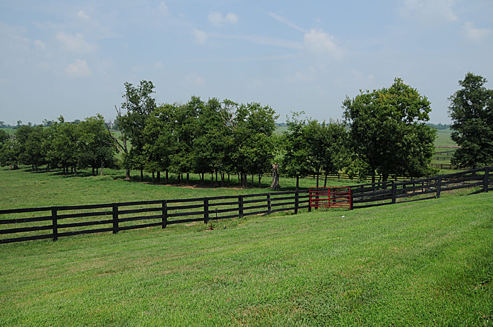 Land Auction Event of the Year! 5,529 Acres in 54 Tracts - Tillable ...